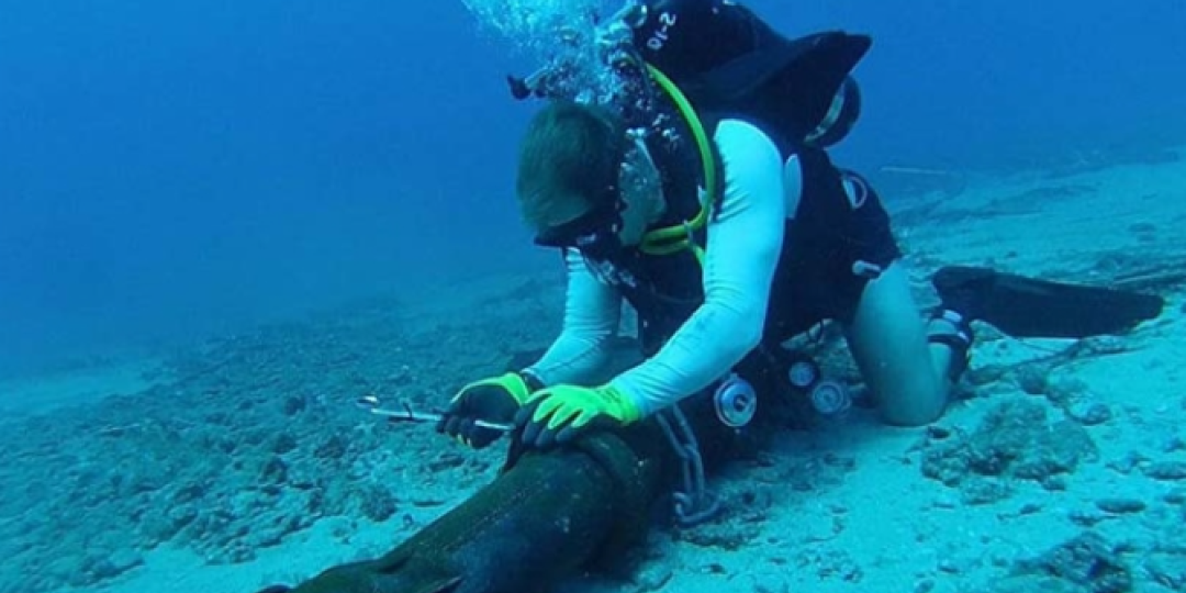 Subsea cables and their role in global internet traffic